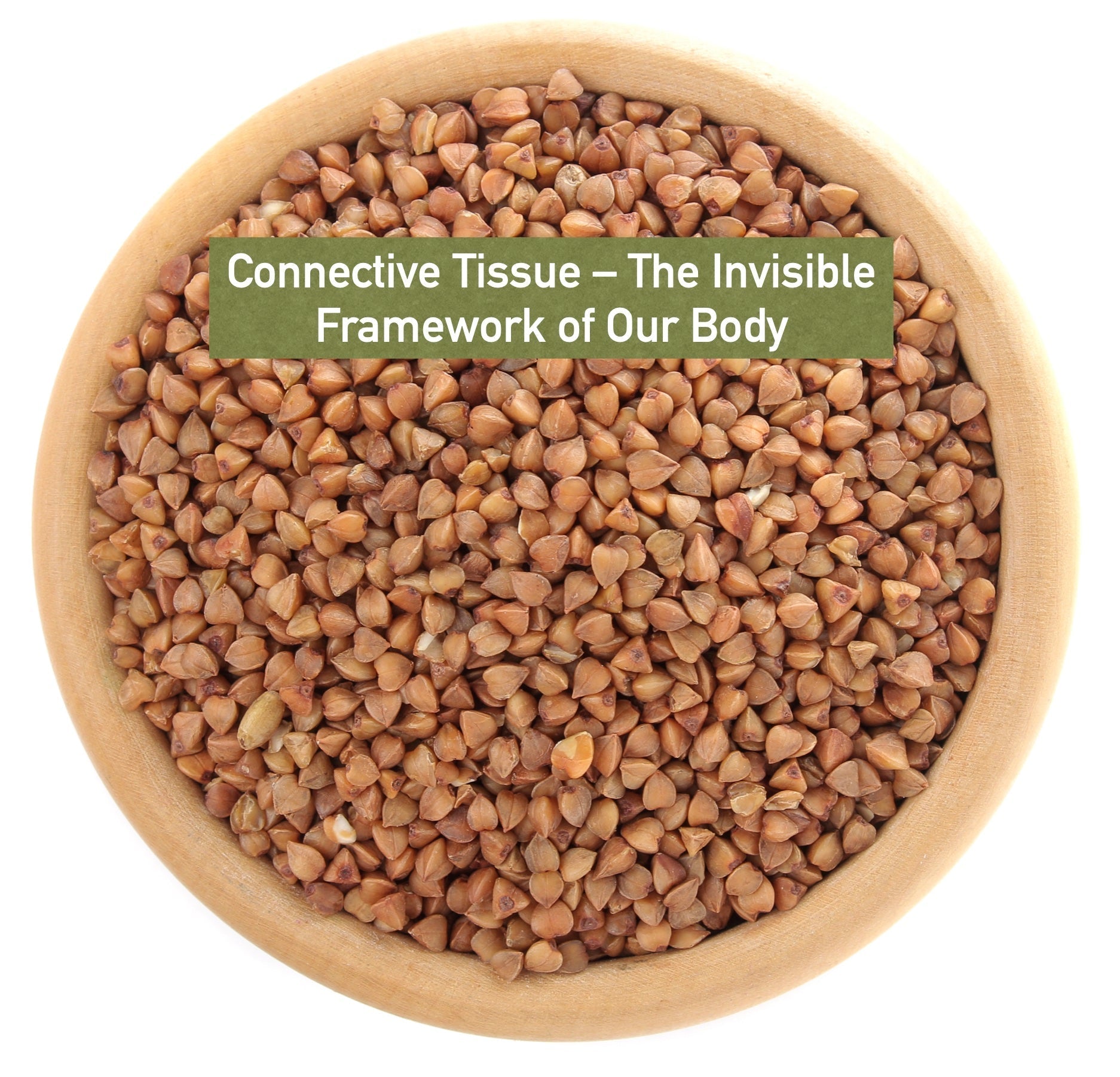 Connective Tissue – The Invisible Framework of Our Body – R and C store